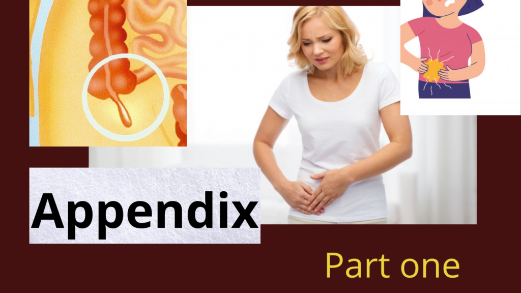 Appendix symptoms of appendicitis, appendicitis pain.